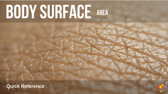 Body surface area - Don't Forget the Bubbles