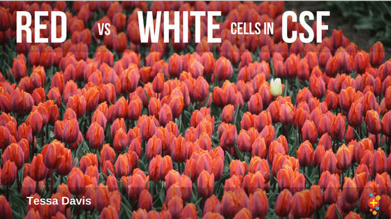 How many white cells v red cells do we allow in CSF?