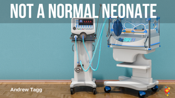 Or Not... - Don't Forget the Bubbles