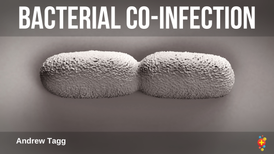 Bacterial co-infection - Don't Forget the Bubbles