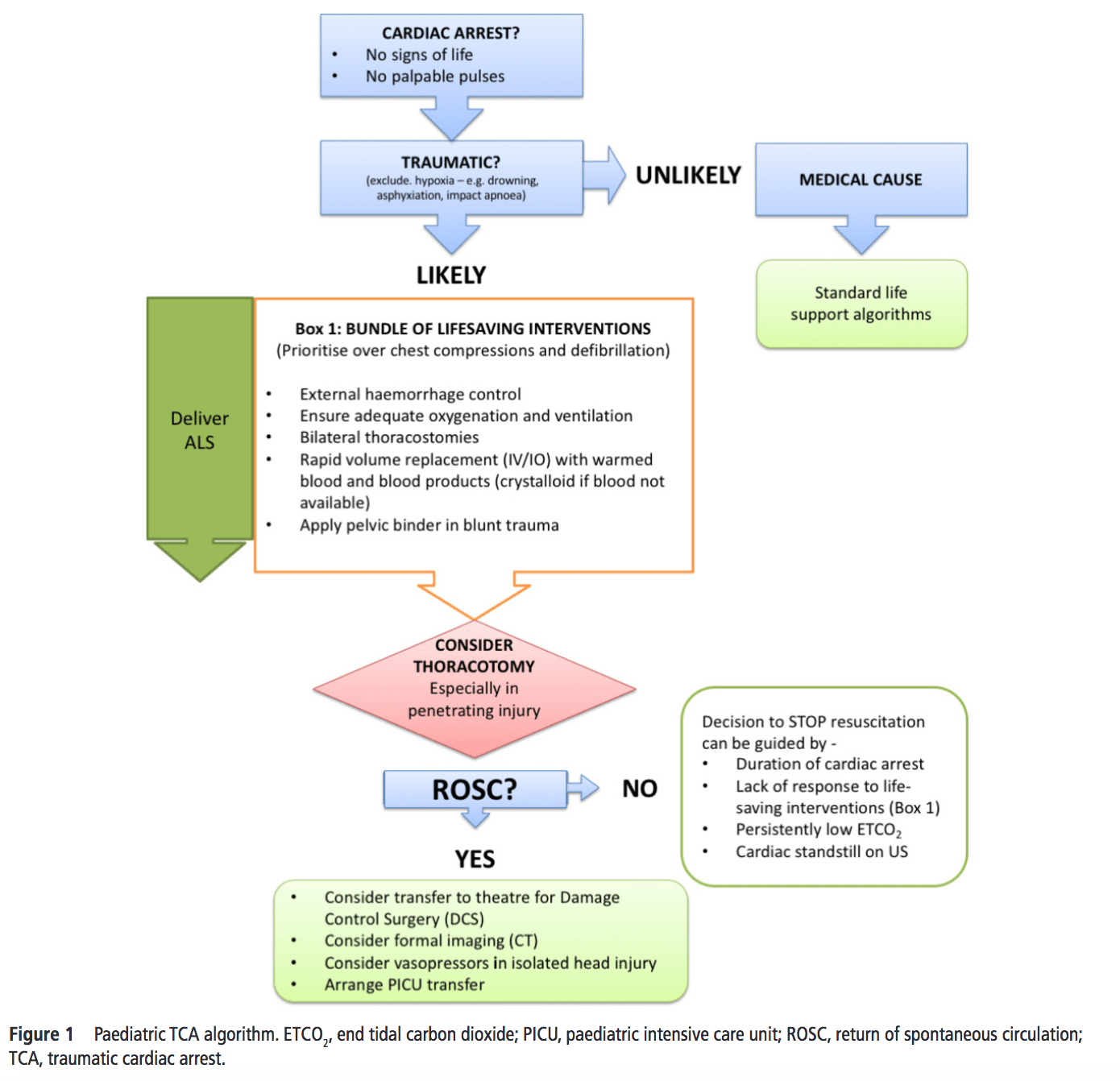 The 24th Bubble Wrap
