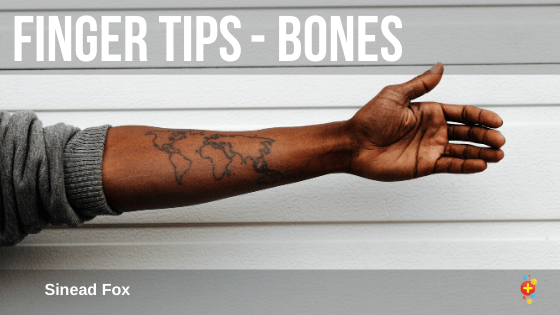 Finger injuries: basics and bones