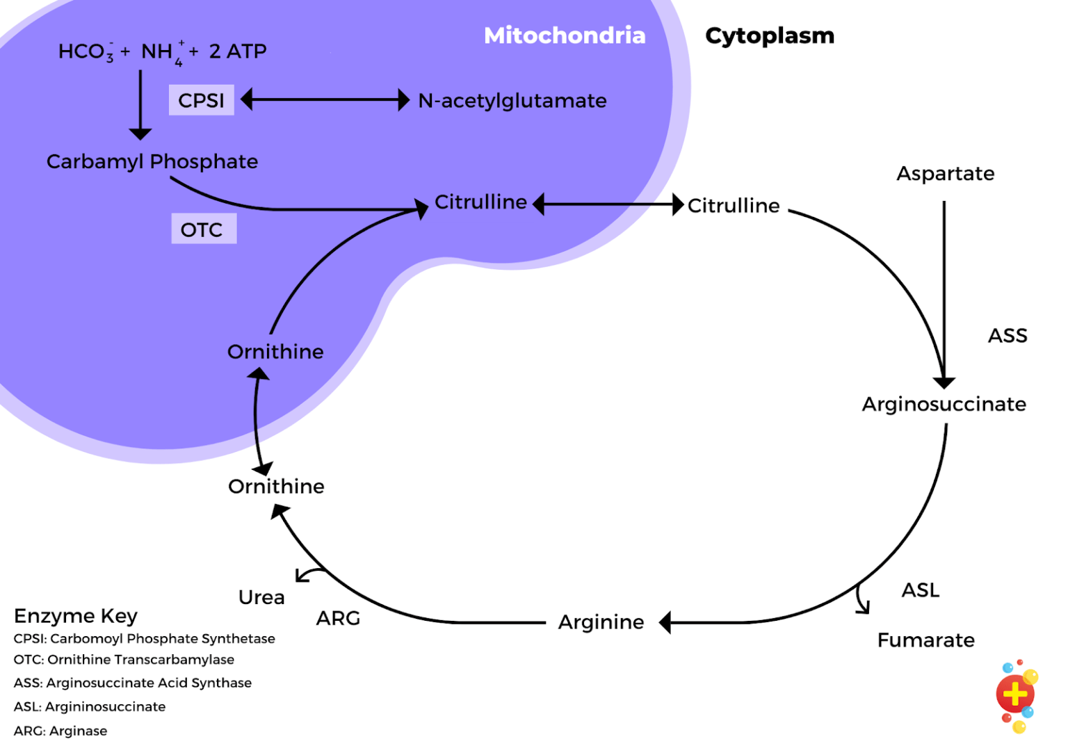 Inherited Metabolic Disorders Module