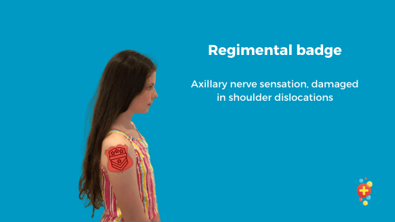 Shoulder examination - Don't Forget the Bubbles