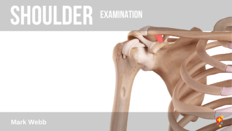 Shoulder examination