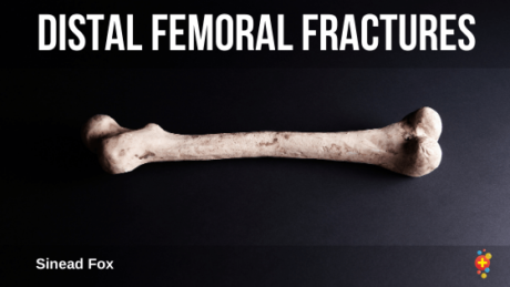 Distal femoral physeal fractures