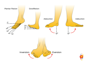 Foot and toe injuries