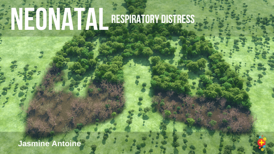 Neonatal respiratory distress - Don't Forget the Bubbles