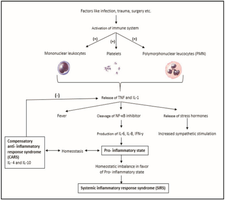 SIRS, Sepsis and Shock Module - Don't Forget the Bubbles
