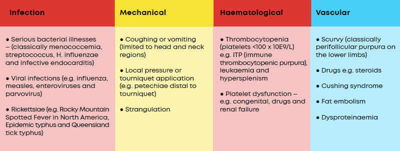 Non Blanching Rashes Module - Don't Forget the Bubbles