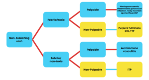 Non Blanching Rashes Module - Don't Forget the Bubbles