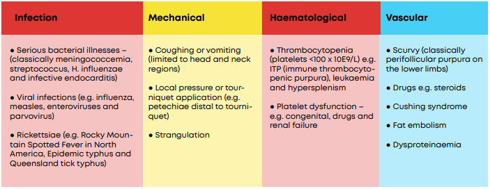 Non Blanching Rashes Module - Don't Forget the Bubbles
