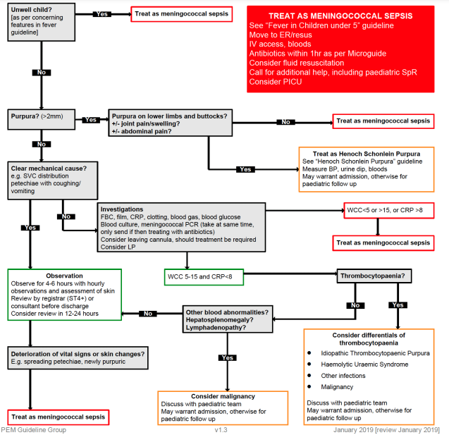 Non Blanching Rashes Module - Don't Forget the Bubbles