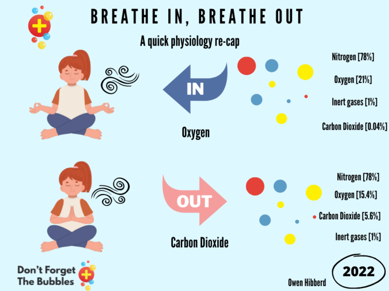 A Beginner's Guide to Capnography - Don't Forget the Bubbles