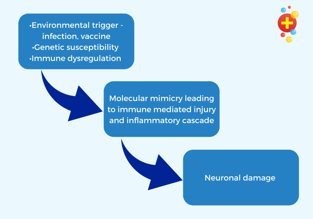 Acute disseminated encephalomyelitis (ADEM) - Don't Forget the Bubbles