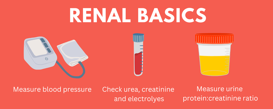An approach to incidental proteinuria in the ED* - Don't Forget the Bubbles