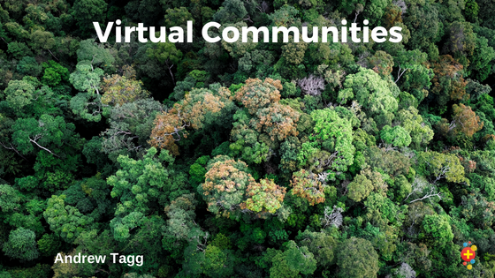 Virtual Communities of Practice - Don't Forget the Bubbles