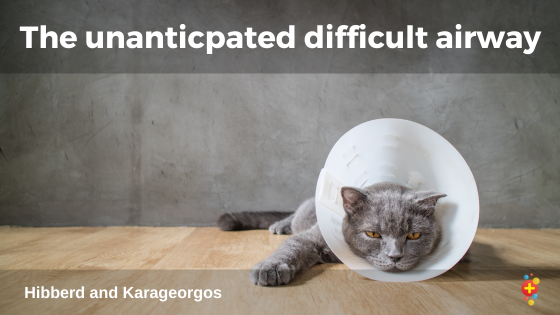 A Simplified Approach to Managing the Difficult Airway in Children - Don't Forget the Bubbles