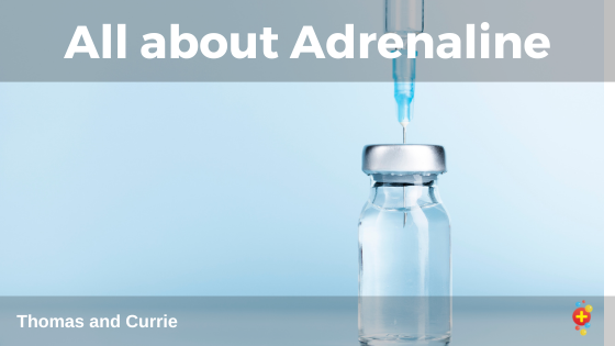 All you need to know about Adrenaline - Don't Forget the Bubbles